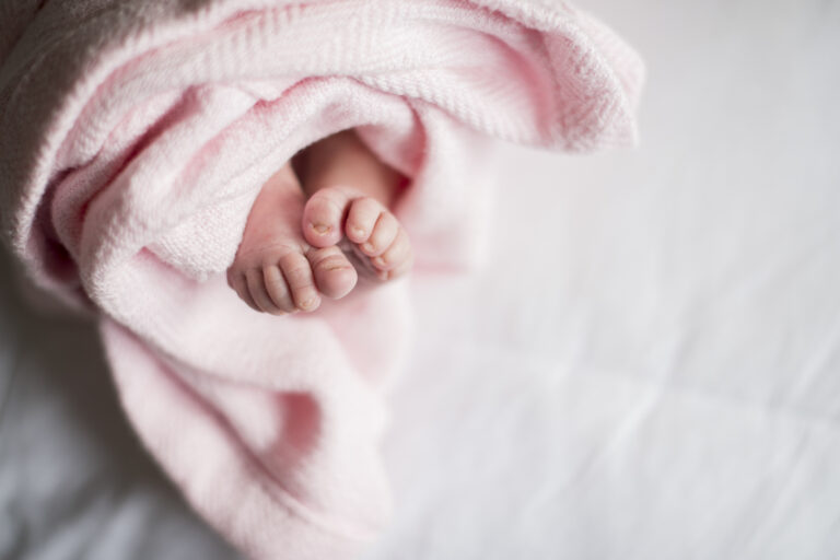 Newborn Photography in Asheville | Jocelyn Session Preview ...